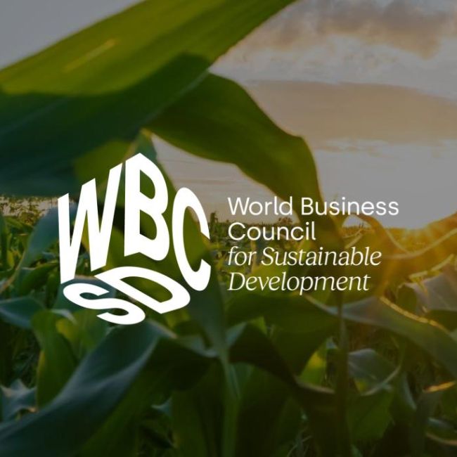 Scope 3 decarbonisation and farmer engagement case study