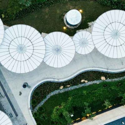 Insetting - Sustainable Solution for Supply Chains