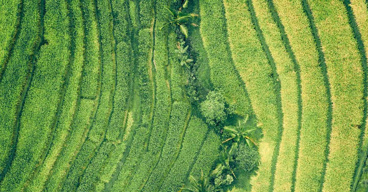 Land Sector and Removals Guidance & Science Based Targets