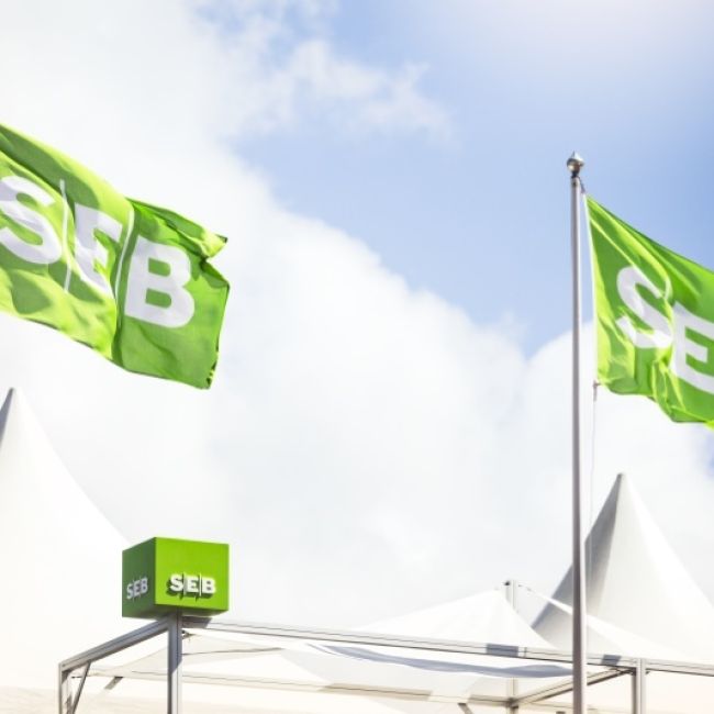 SEB Investment Management: Turning risk into opportunity with an in ...