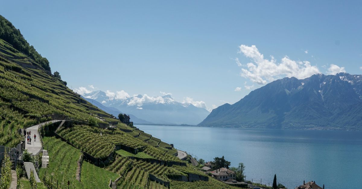 Understanding Supply Chain Risks in Europe